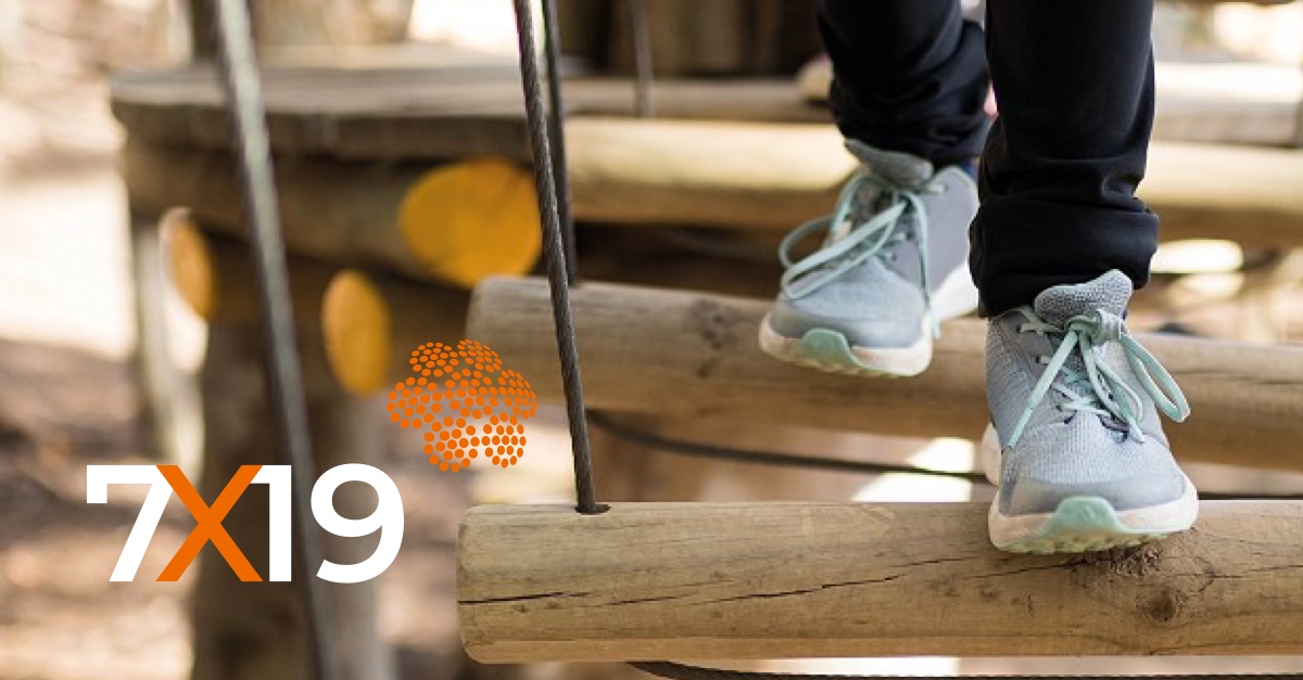 Adventure Design, Construction & Consultancy | 7x19